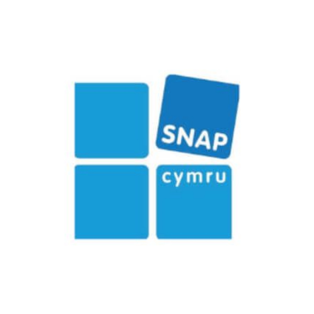 St Richard Gwyn Catholic High School - January Online with Snap Cymru