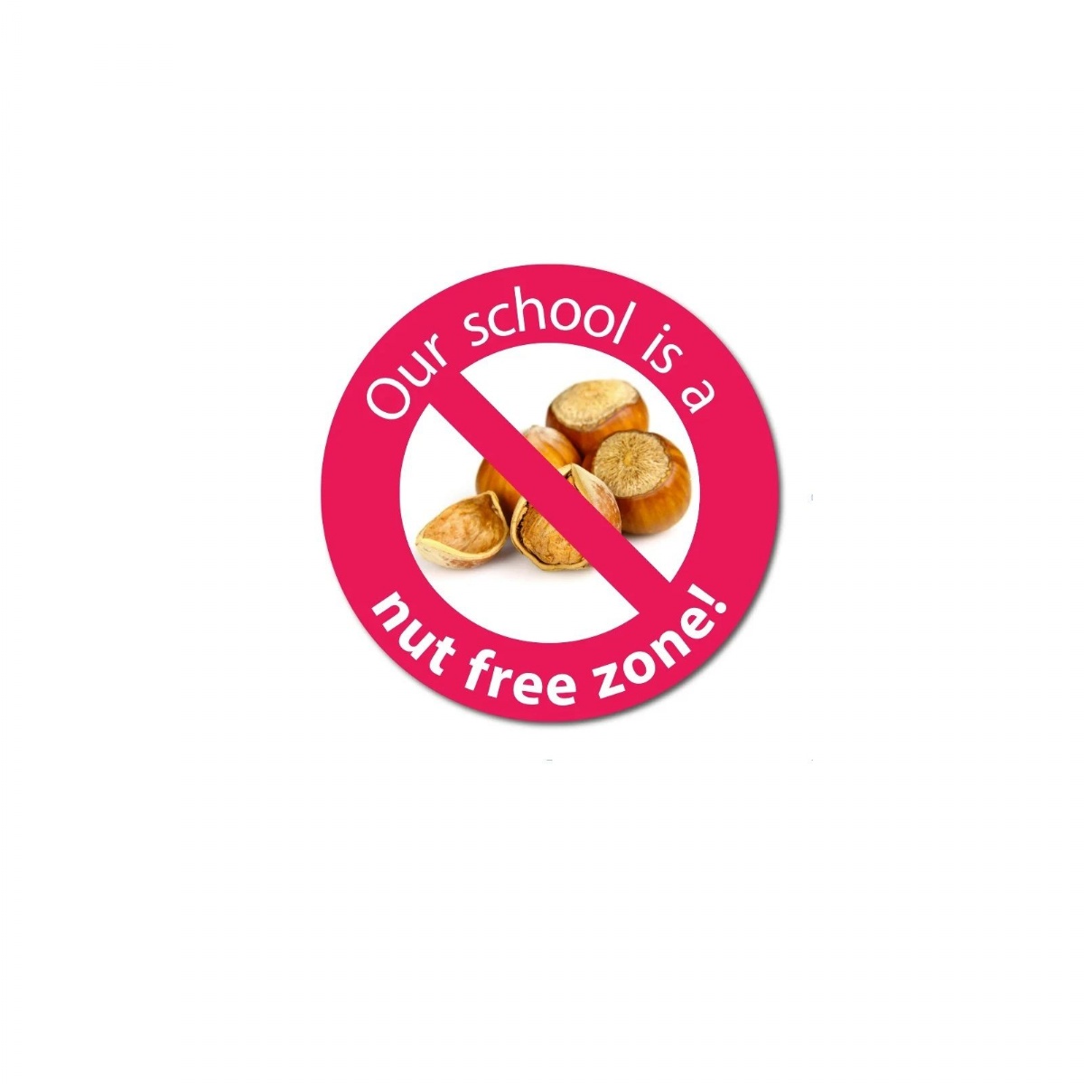 St Richard Gwyn Catholic High School - Nut Free Zone!